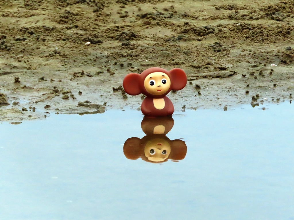 Chichibugahama-12 | stick-traveler